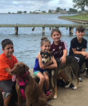 Woodlands Animal Rescue